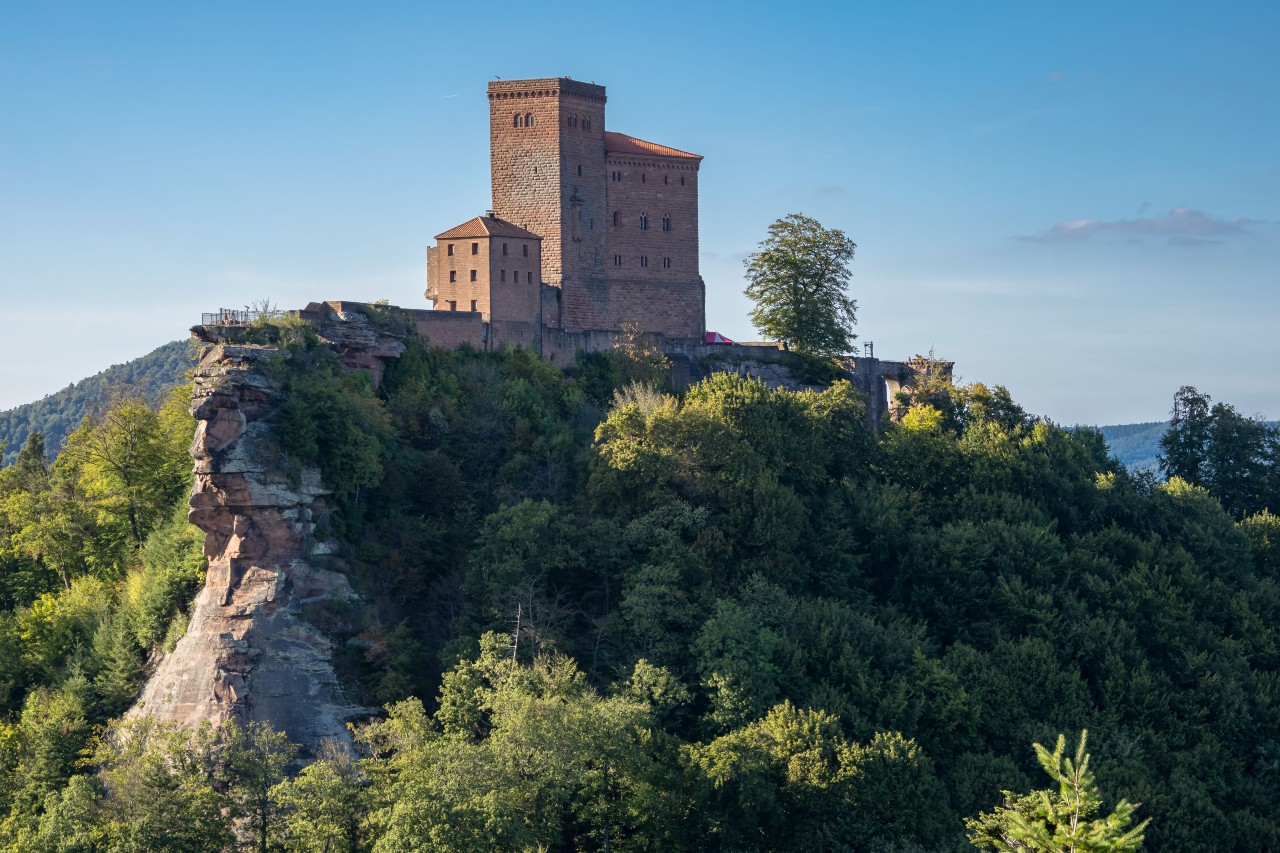 Trifels-sorti-long-sommeil-palatinat-réserve-biosphère