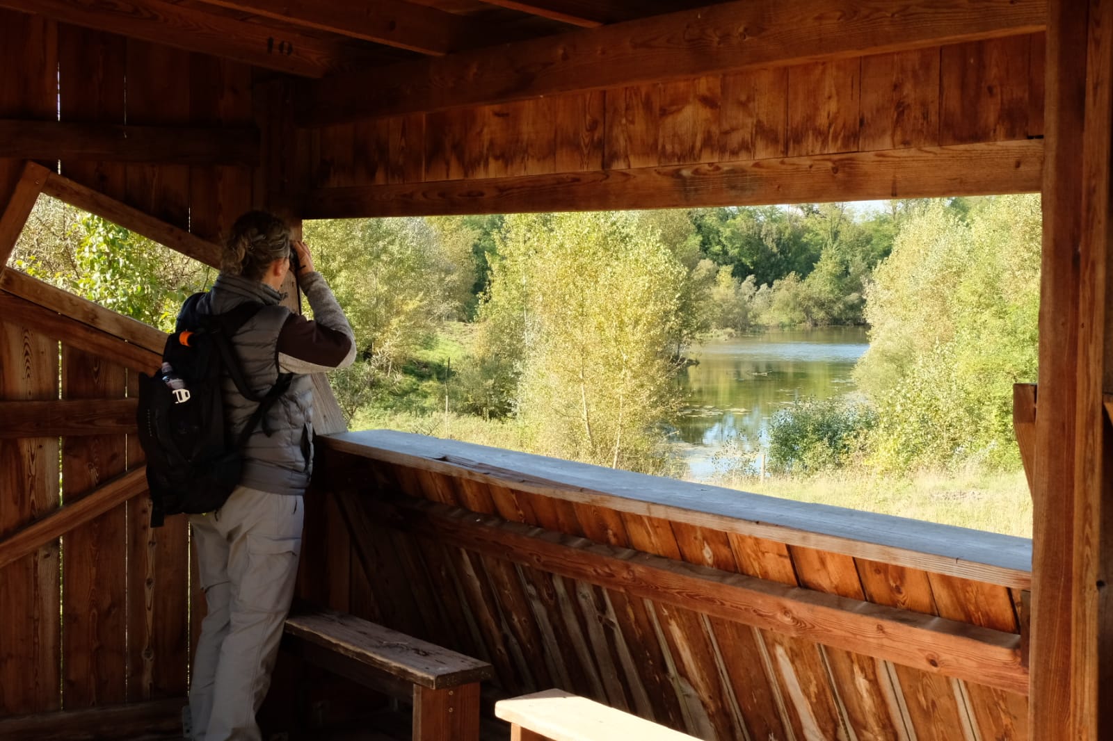 Im Dreiländereck lässt Rheininsel wilden Rheins wieder aufleben
